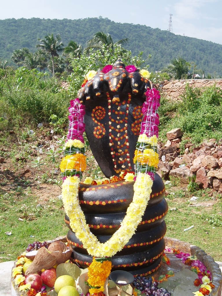 yogi prabhakarji: Sri Sri Sri Yogi Nagendra Swami Photo