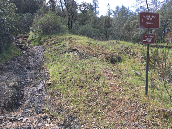 Trails (and Trials): waylaid