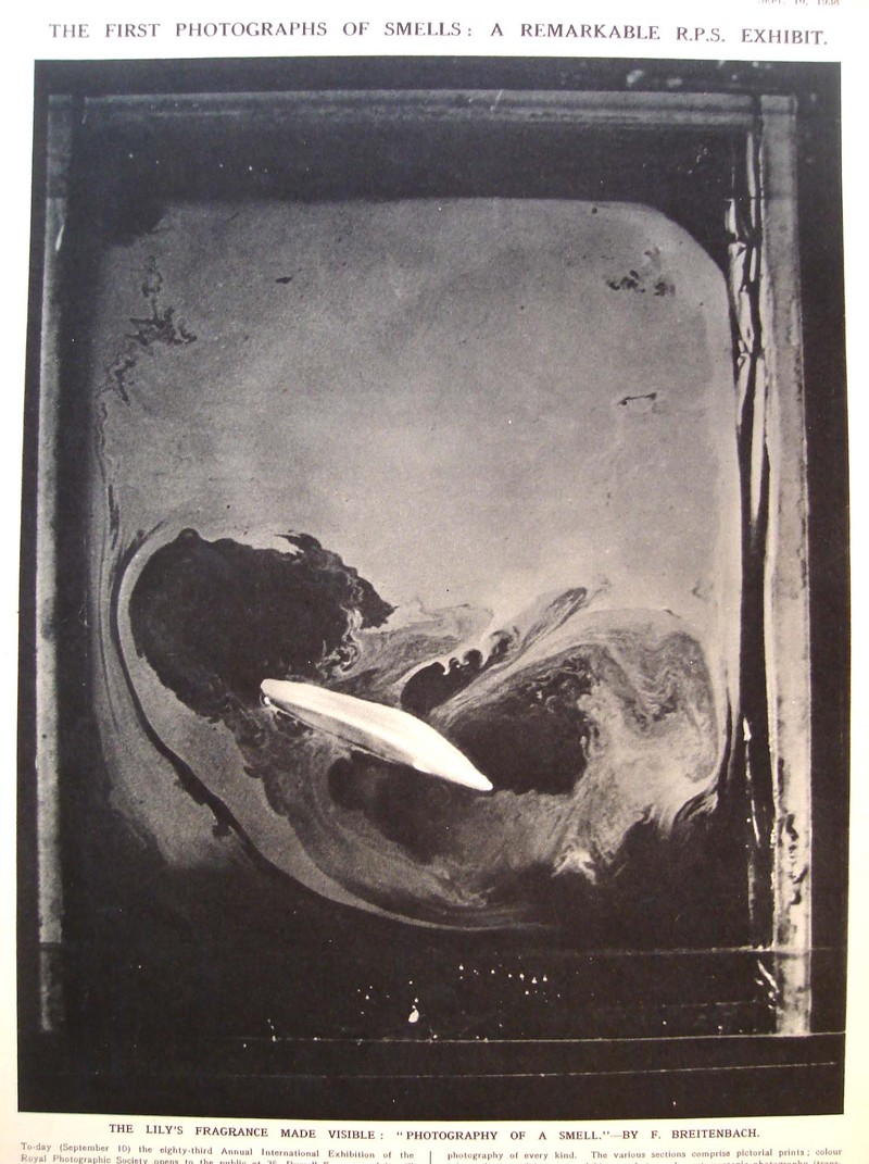 Believe It or Not, These Two Images Are the First Photographs of Smell ...