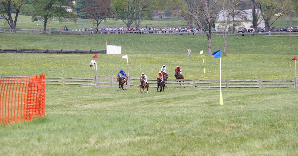The Life of an Anglo-American: And This is Timber Racing!