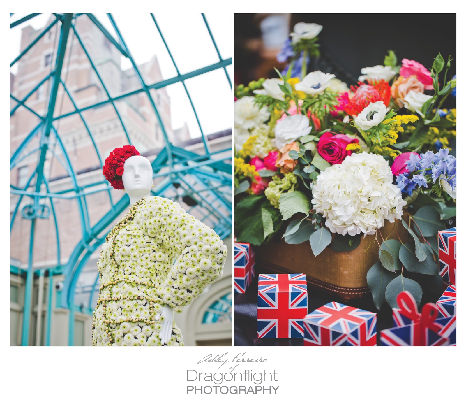 Dragonflight Photography Vancouver, Langley, Victoria and Destination ...