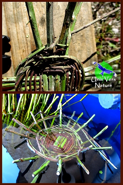 Unis Vers Nature: Vannerie sauvage de ronce 2/2