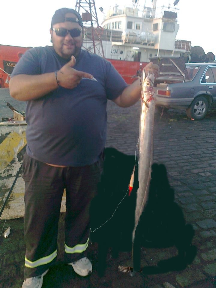 PESCA DEPORTIVA EN URUGUAY: El Pez Sable (TRICHIURUS LEPTURUS)