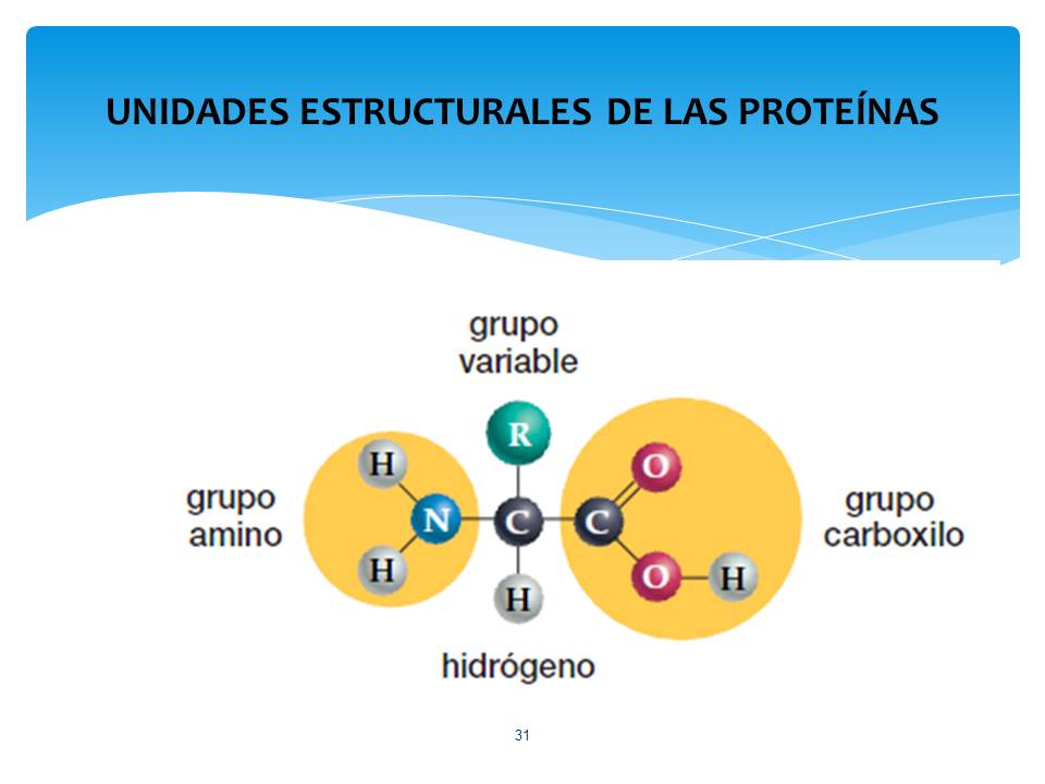 Biología II: Tema 1 Composicion quimica de la celula