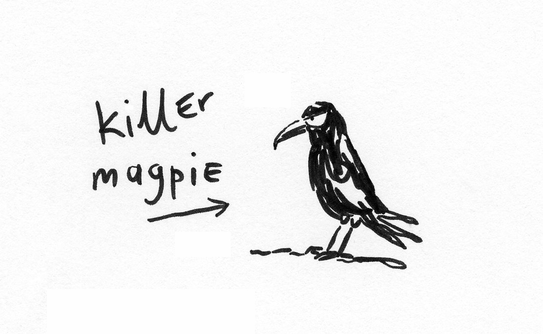 Story Starters: Vision-Boarding - Tristan Bancks