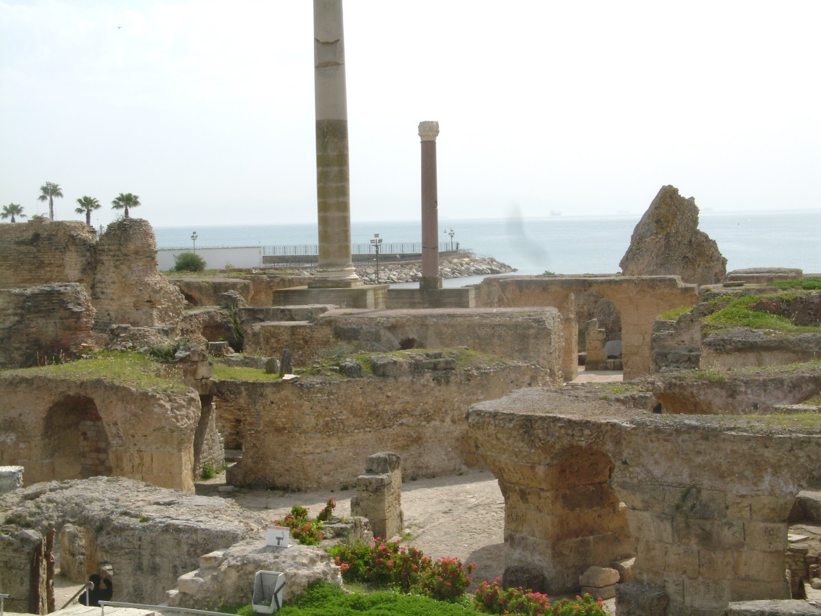 Melitatrips: CARTHAGE - TUNISIA