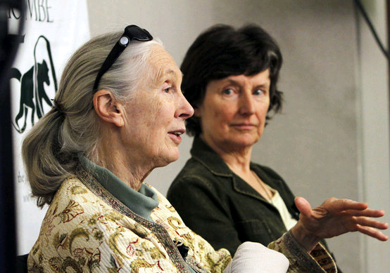 cryptonaut-in-exile: March 2011