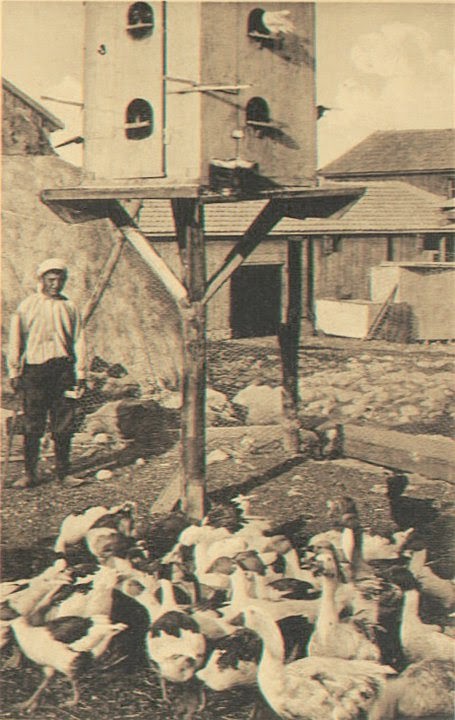 Rare photos of Second Aliyah ~ Elder Of Ziyon - Israel News