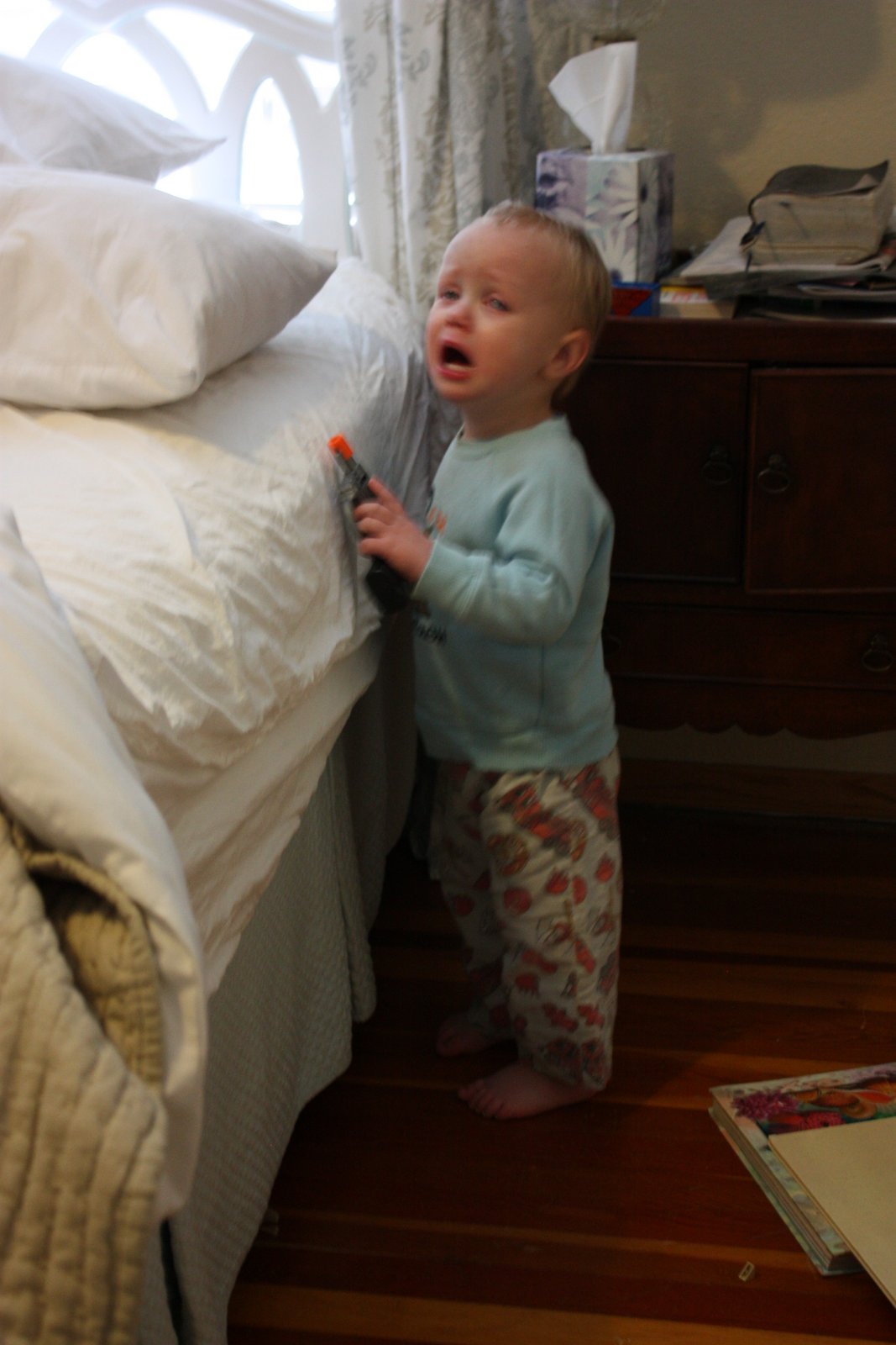 Life at the Chicken Coop