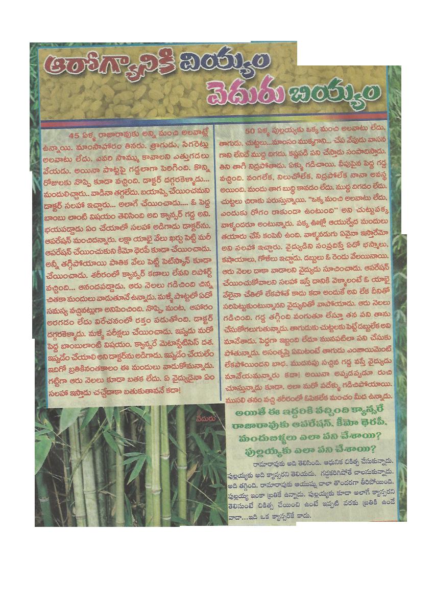 AYURVEDAM - ఆయుర్వేదం: VEDURU BIYYAM ( BAMBOO RICE ) - AYURVEDAM