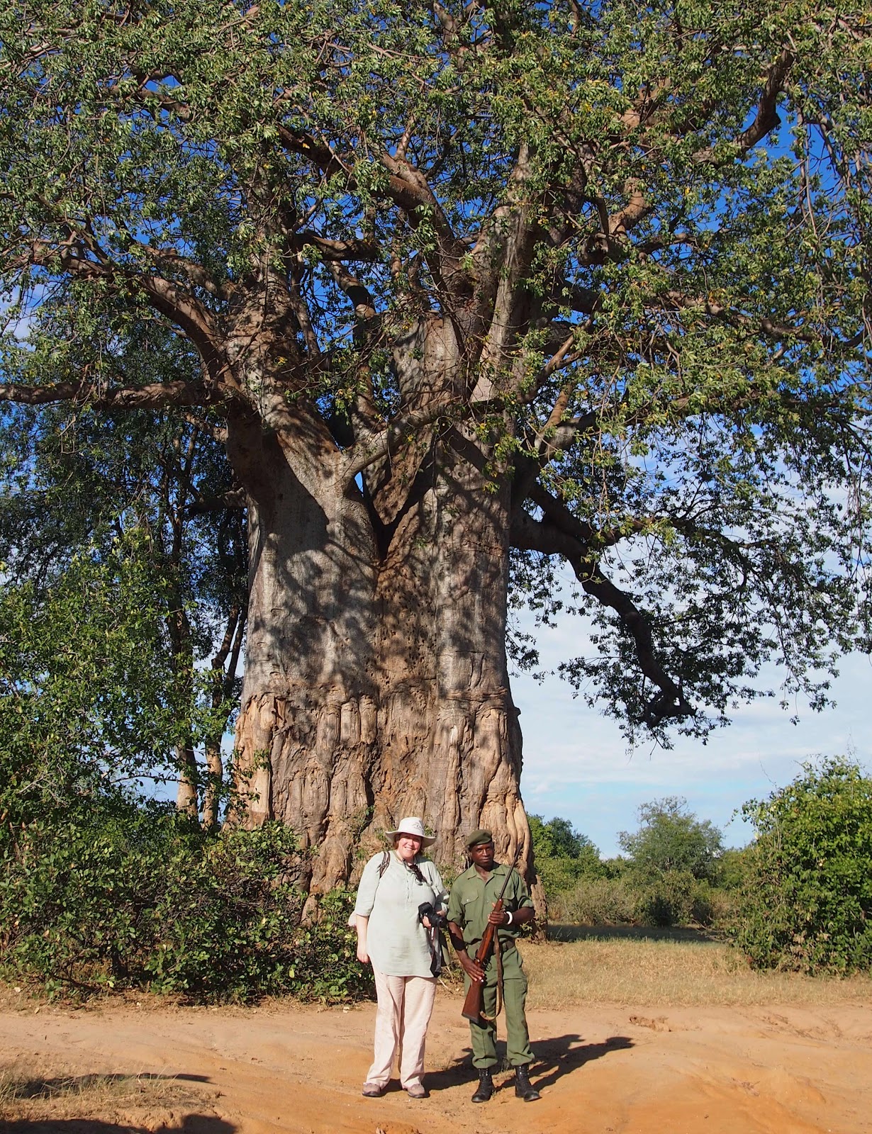 travelswithkathleen: Baobab