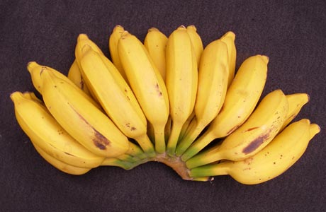 KENAPA PISANG SEJENIS RASA BERLAINAN? | Jom Dakwah