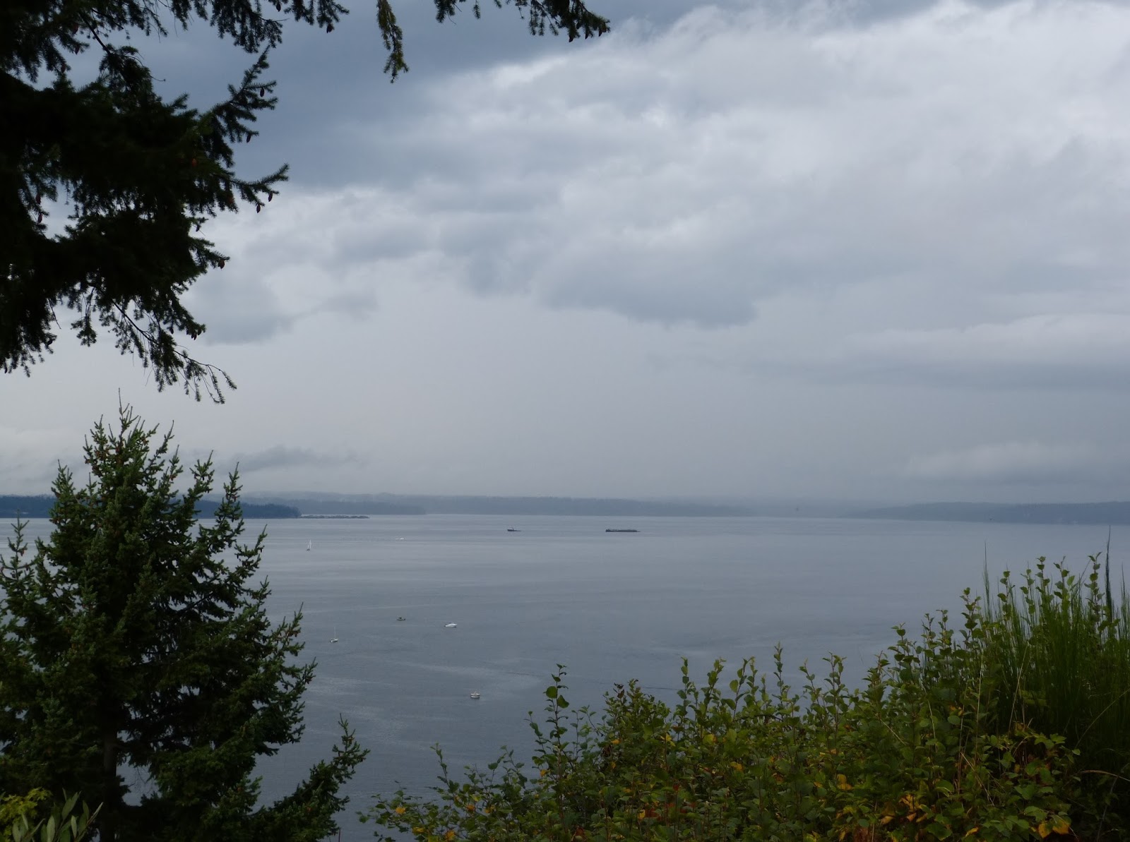 Ray's Retirement: Seattle - the fish ladder