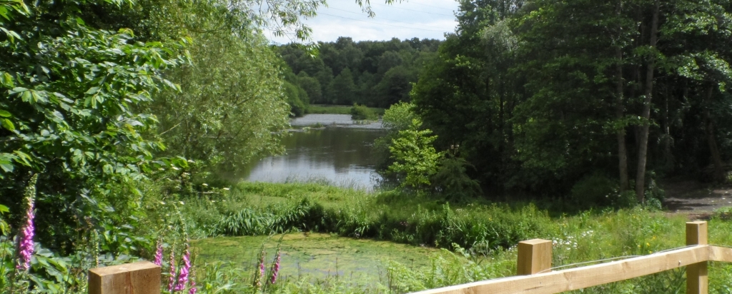 Walking The Peak: Ravenfield Park, Rotherham's Secret Valley