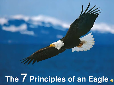 Bonface Amurega: 7 KEY PRINCIPLES OF AN EAGLE
