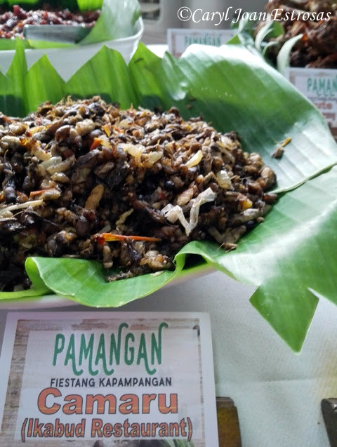 Pamangan Fiestang Kapampangan 2015 - Part I