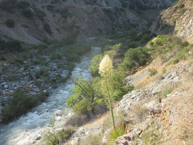 Dan's Hiking Blog: El Encanto Trail Hike - June 12, 2011