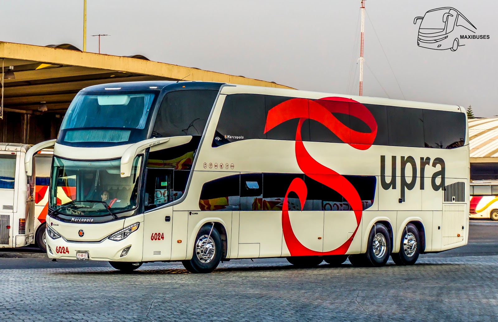 MAXIBUSES: SUPRA