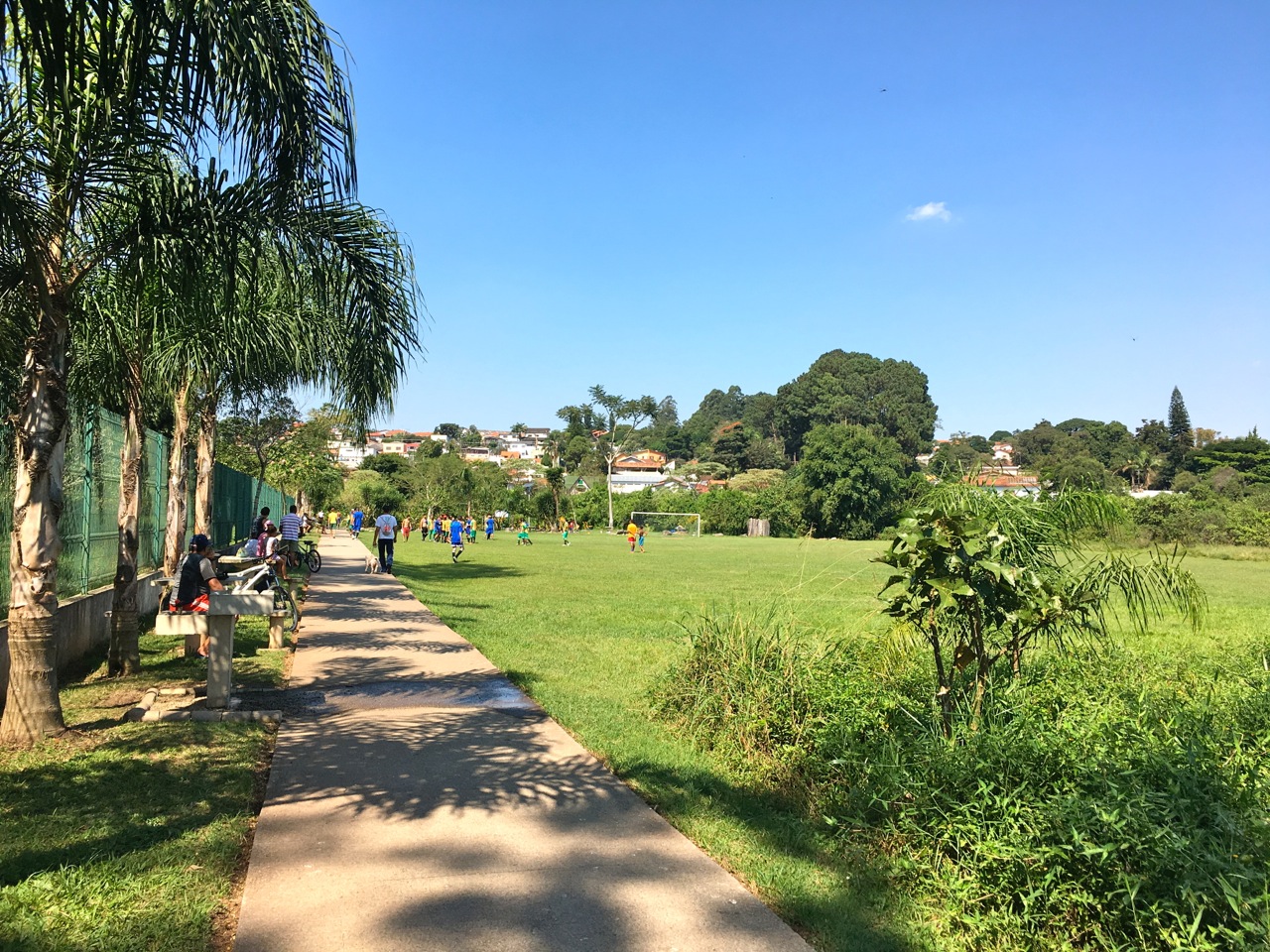 Parque Linear Nove de Julho em São Paulo ~ Áreas Verdes das Cidades ...