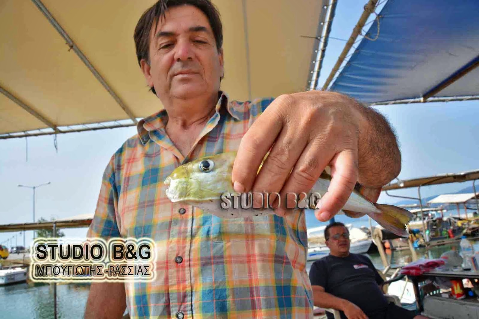 Αργολικός Ποιμήν: ΛΑΓΟΨΑΡΟ ΑΛΙΕΥΘΗΚΕ ΣΤΟΝ ΑΡΓΟΛΙΚΟ ΚΟΛΠΟ ΑΠΟ ΨΑΡΑΔΕΣ ...