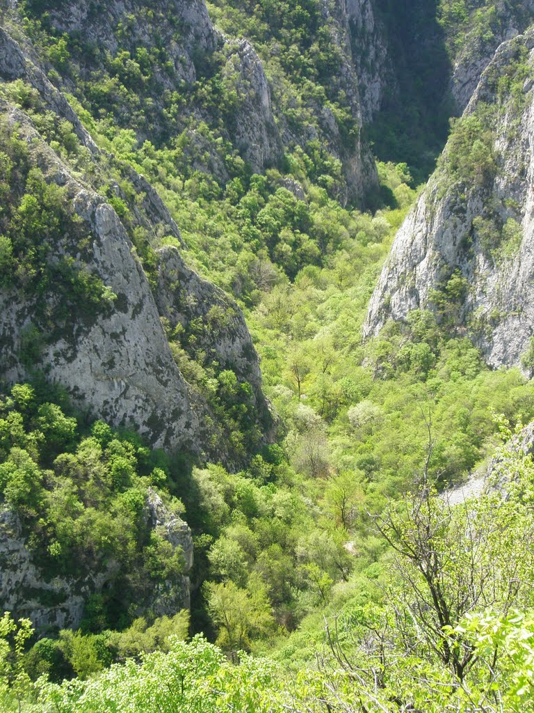 Tragač za čarobnim svetovima prirode: Lazarev kanjon – najsjajniji ...