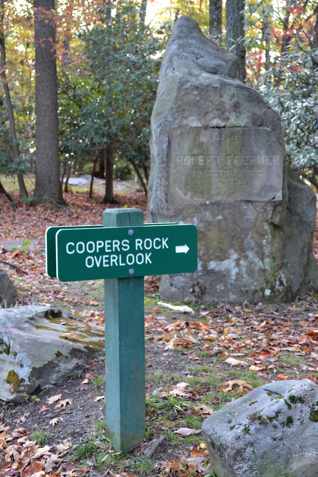 My Paisley World: The Breathtaking Scenic Overlook at West Virginia's ...