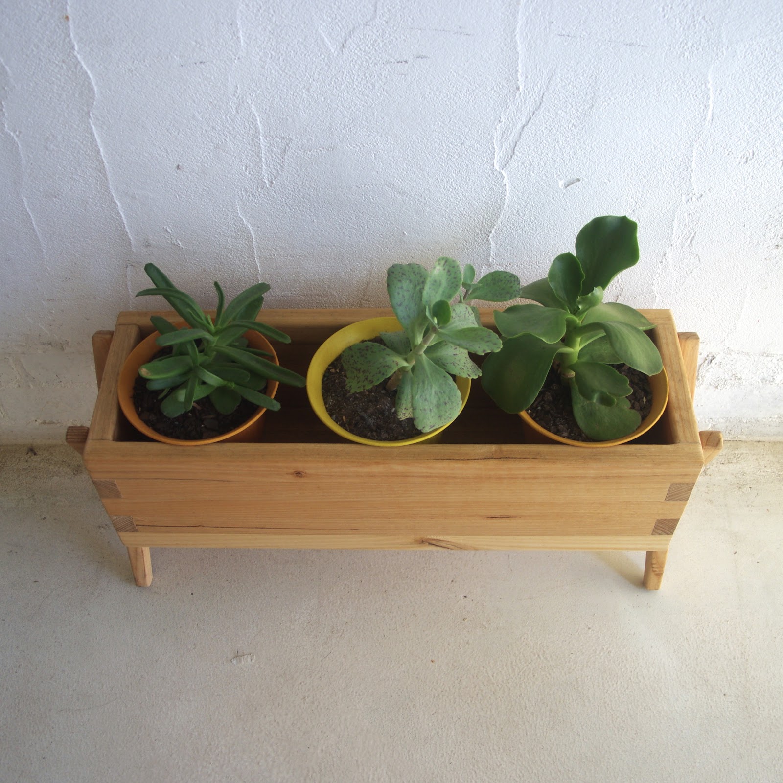 lewisdean: Timber Planter Boxes