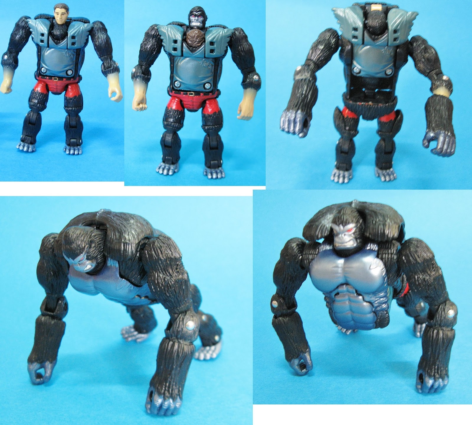 ANIMORPHS Transformers : MACRO/GORILLA變獸戰士 : 馬高/大猩猩