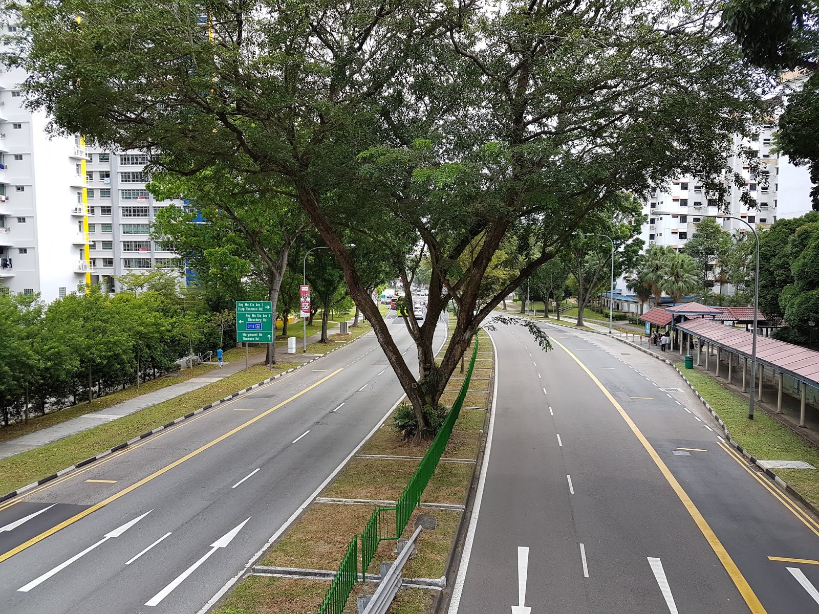 Cross Island Line Construction: Pre-construction - Teck Ghee