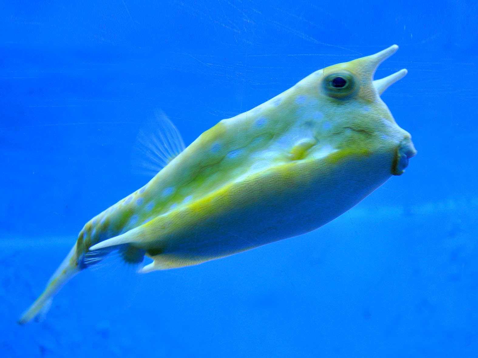 Seconde Vue: Manille et c’est reparti