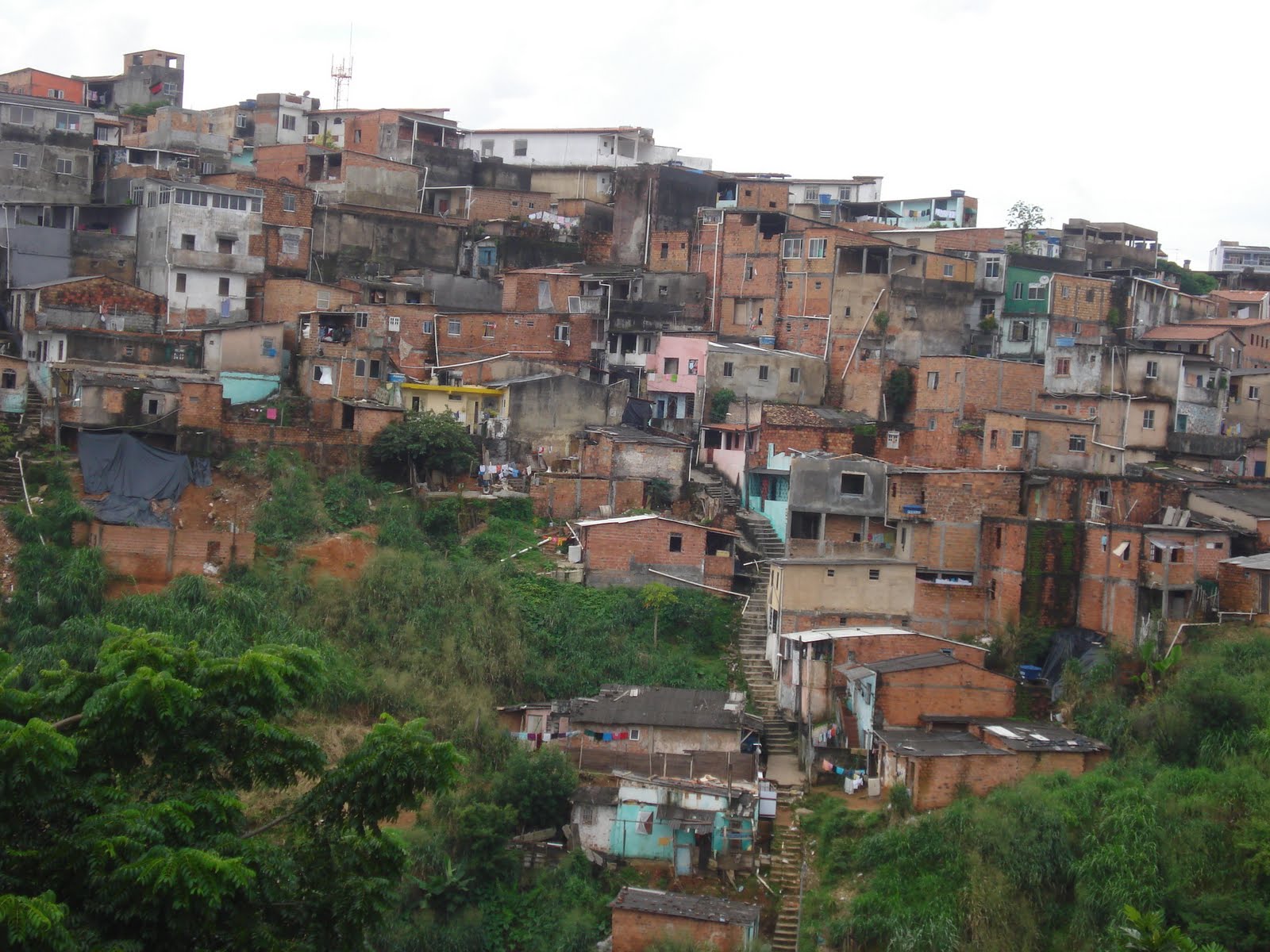 Talking with the Turnbows: Favelas