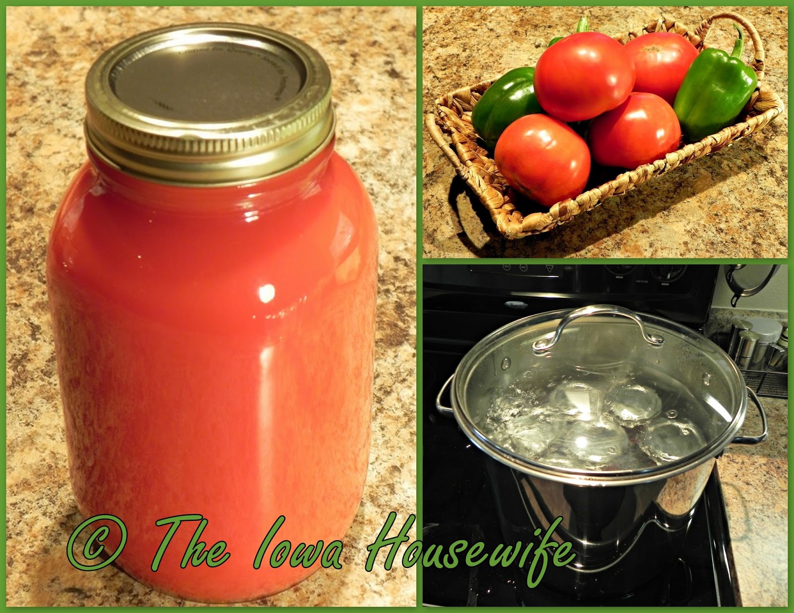 The Iowa Housewife: Tomato Garden Juice Blend