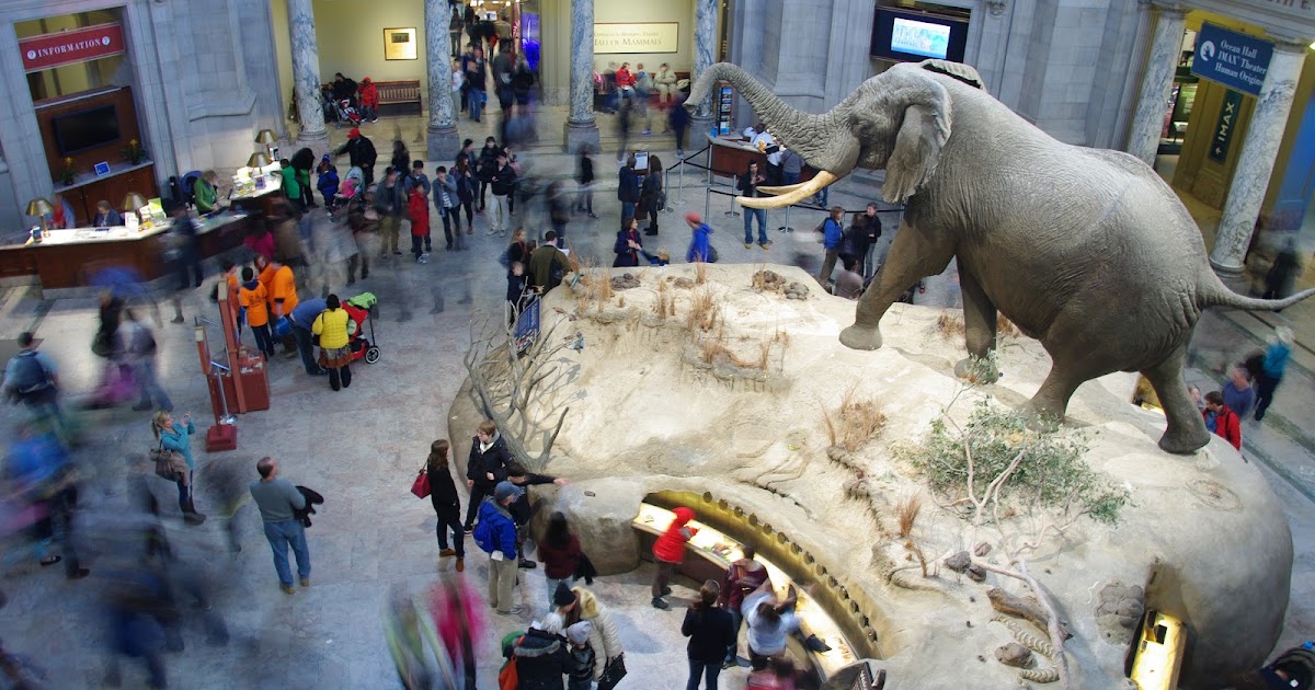 OpenScientist: NEW - Citizen Science at Museums and Science Centers