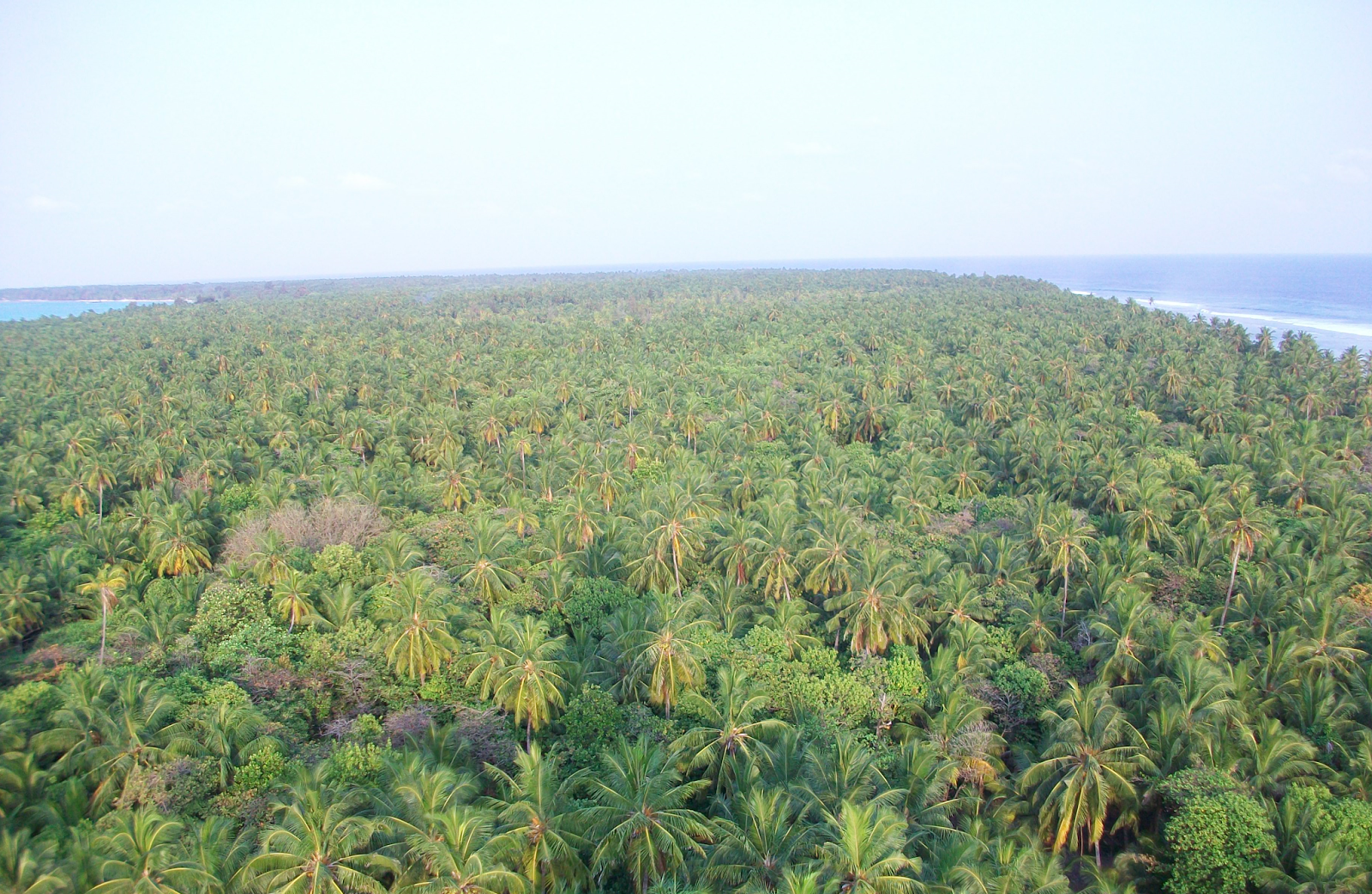 Travel Asia: Cast away - The Mini Minicoy! Laccadive Islands aka ...