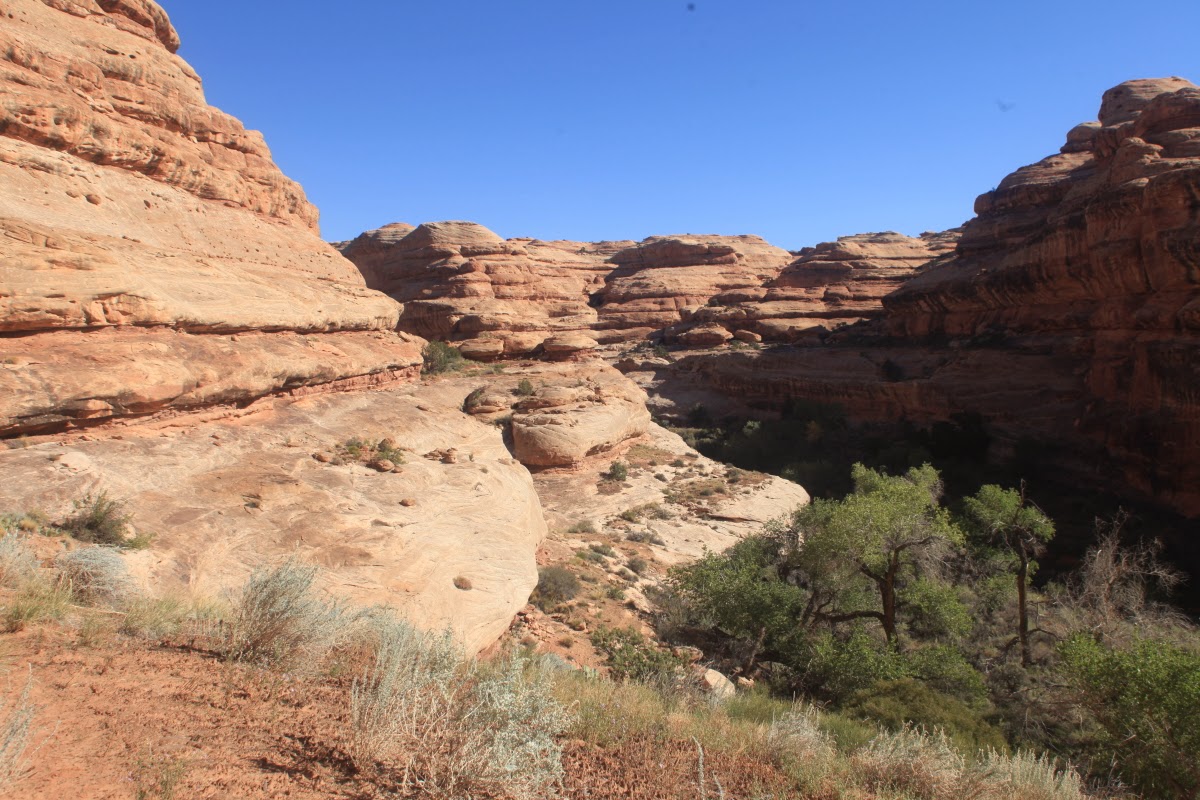Earthly Musings - My Travel and Geology Blog: Hiking Into Grand Gulch ...