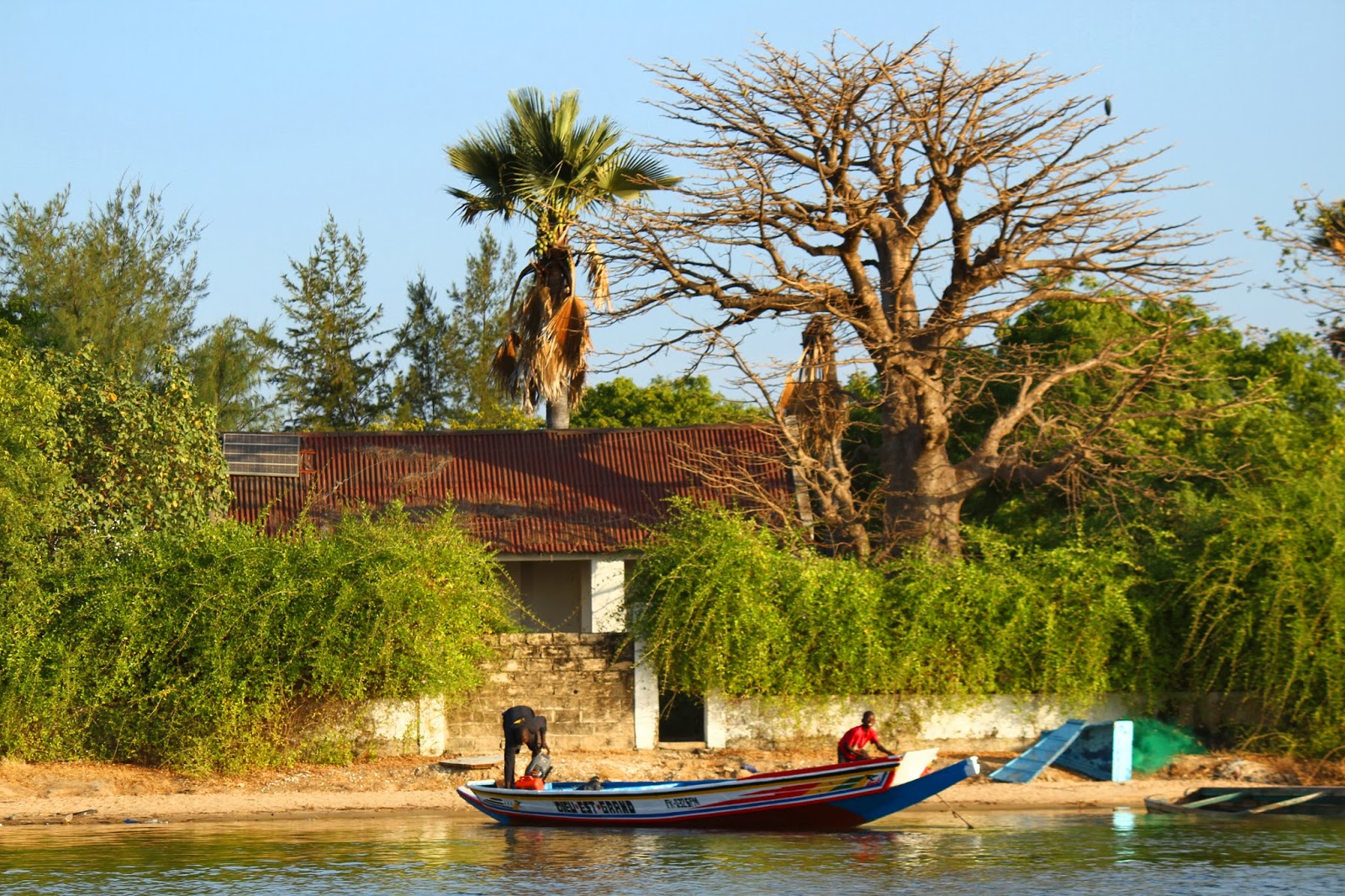 DELTA DE SINE SALOUM, o mais belo segredo escondido de África está aqui ...