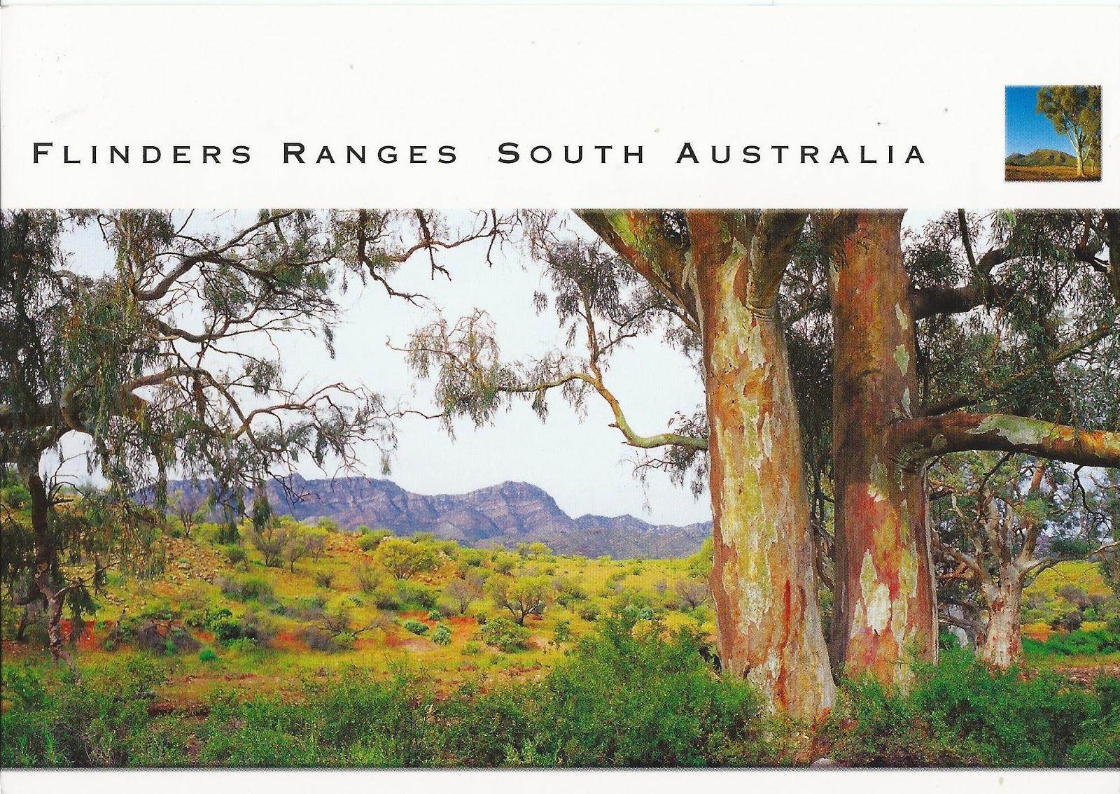 A Journey of Postcards: Flinders Ranges South Australia