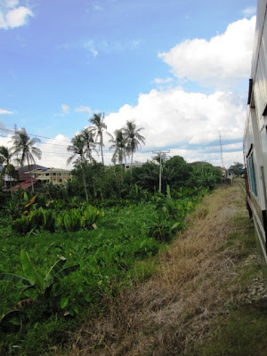 KINABALU: TANJUNG ARU - TENOM BY RAIL