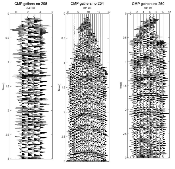 Seismic Data Processing Lab