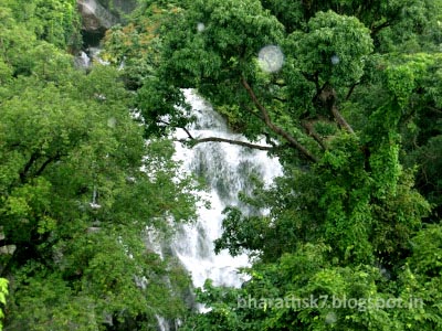 Tourism !ndia: The wonder in the woods - Ulakkai Aruvi
