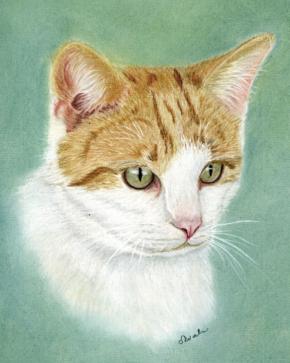 Sarahs Pet Portraits and Art Work: Cats Pastel Paintings