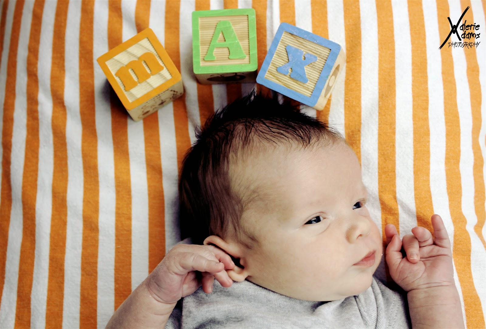 Valerie Adams Photography: Baby Max