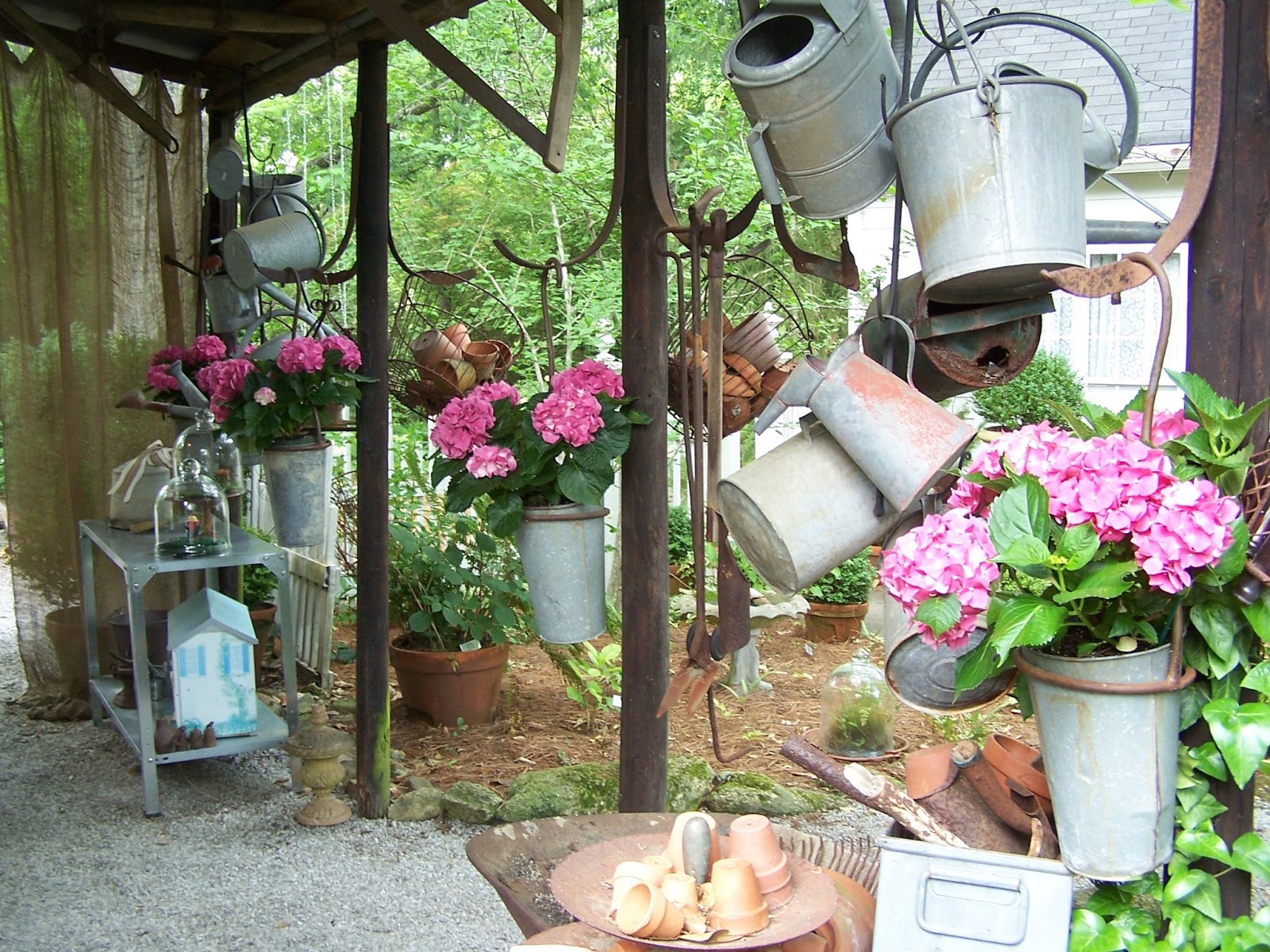 TARA DILLARD: Hanging Hydrangea