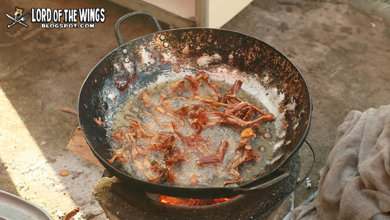 LORD of the WINGS (or how I learned to stop worrying and love the ...