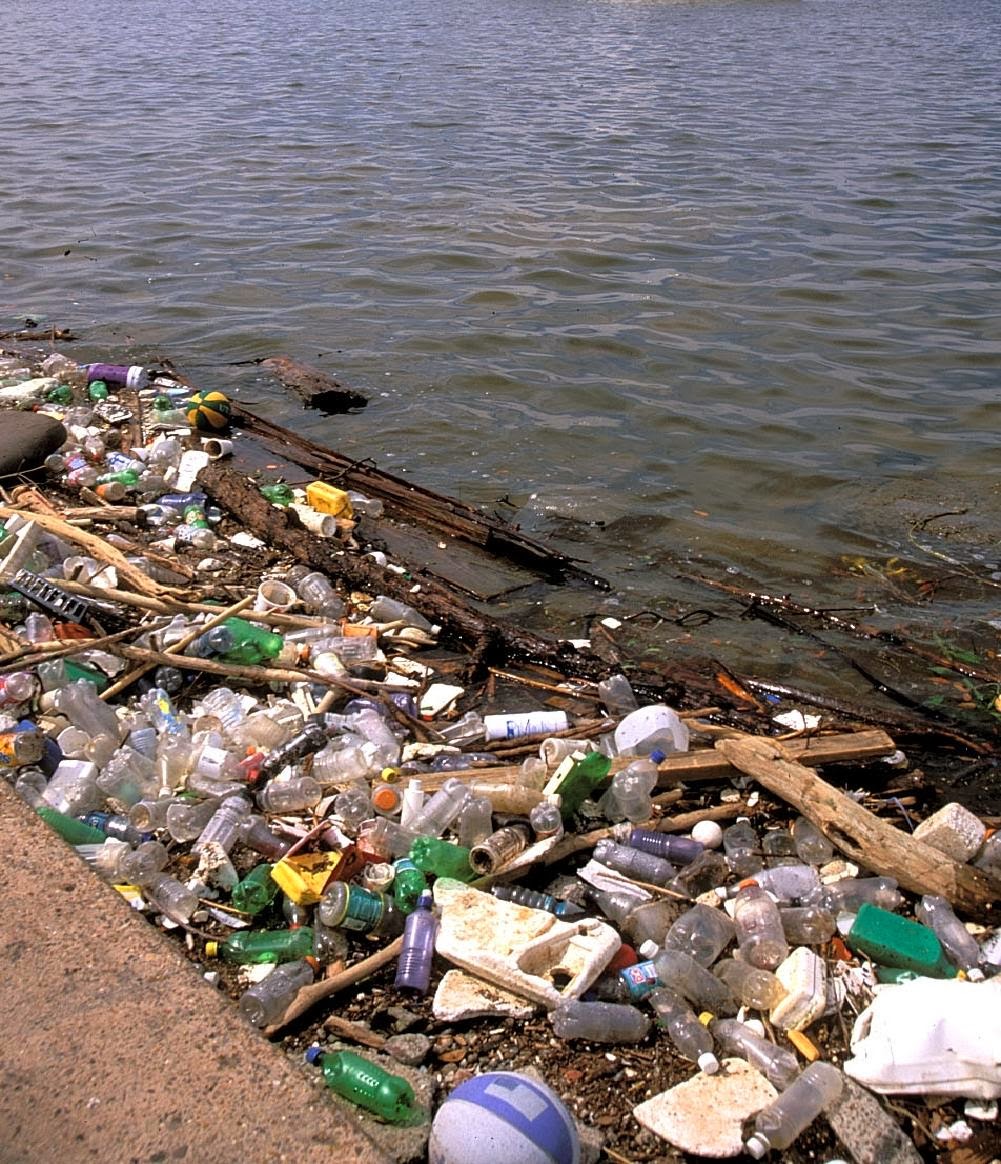 Pollution dans notre planète et santé: La Pollution de l'eau et santé