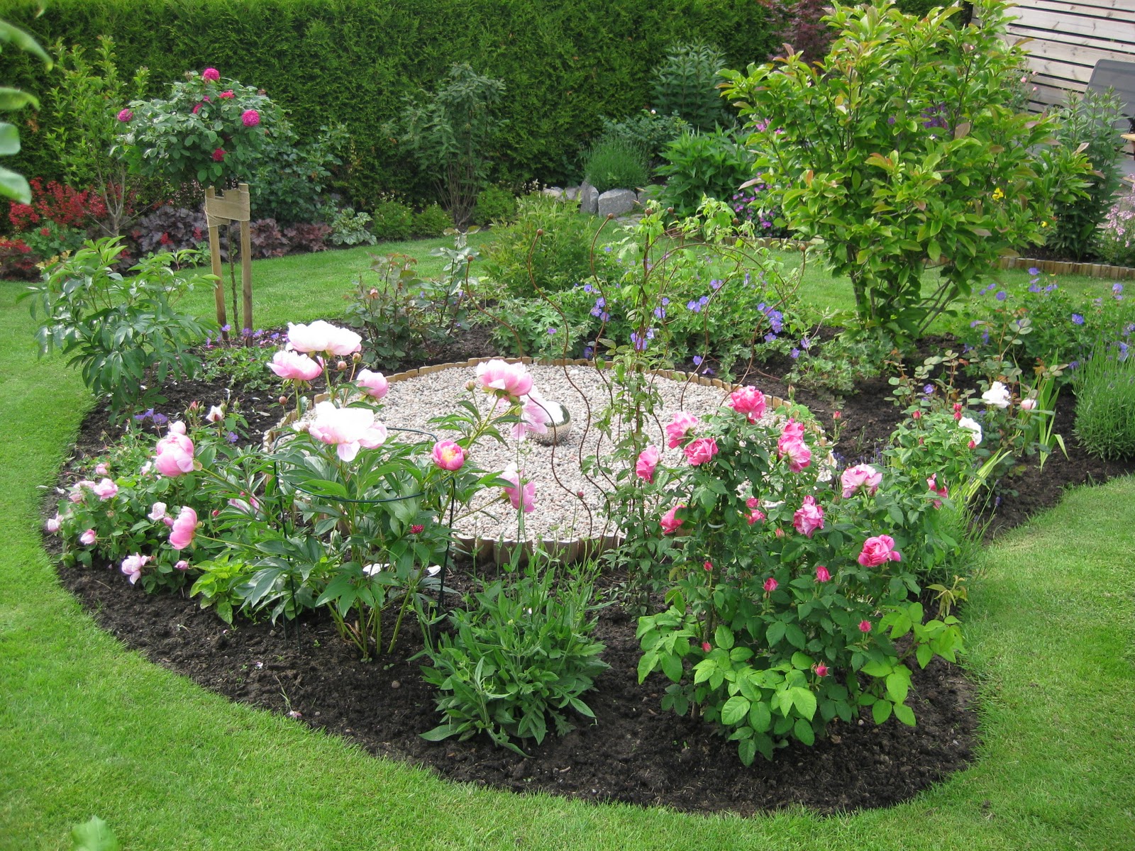 Hallontrollets trädgård: Om fyra månader...