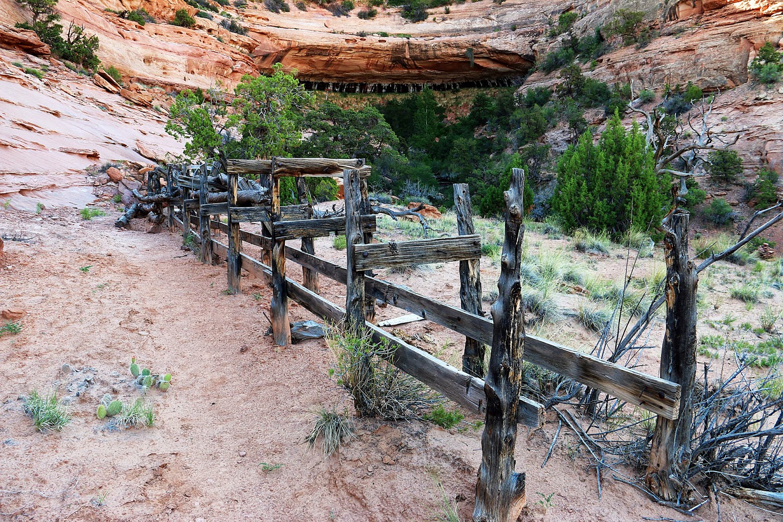 A is for Adventure: Mesa Arch and Neck Spring Trail at Canyonlands ...
