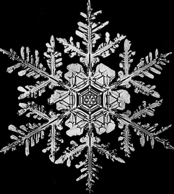 The Agatelady: Adventures and Events: What is a Snowflake?