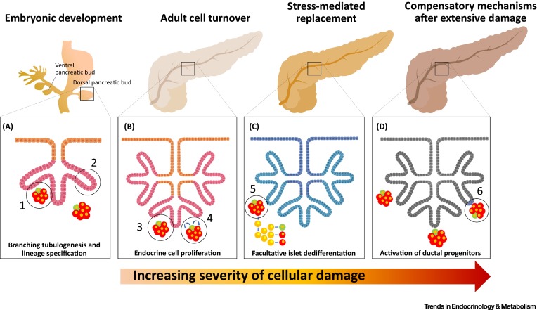 Actualités Scientifiques - Médicales: # ...