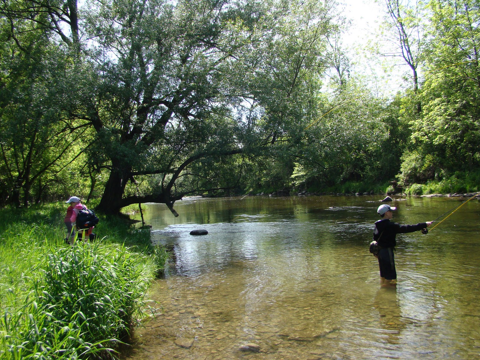 brianonthefly: Fishing Oatka creek with the kids